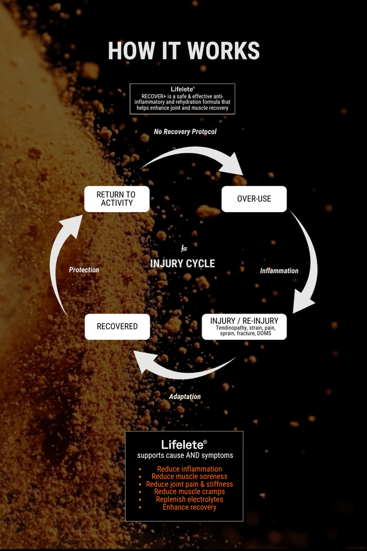 The Science | Formulated by Scientists, Trusted by Athletes – Lifelete